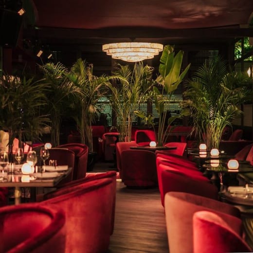 Restaurant Babylon DIFC à Dubai - Menu, avis, prix et réservation | TheFork