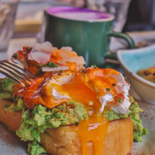 Bonobo in Montpellier - Restaurant Reviews, Menus, and Prices | TheFork