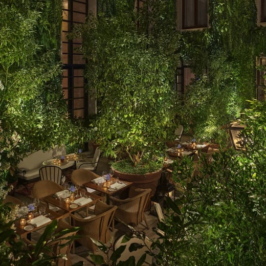 Avis Vérifiés 2025 - Anima Rome | TheFork