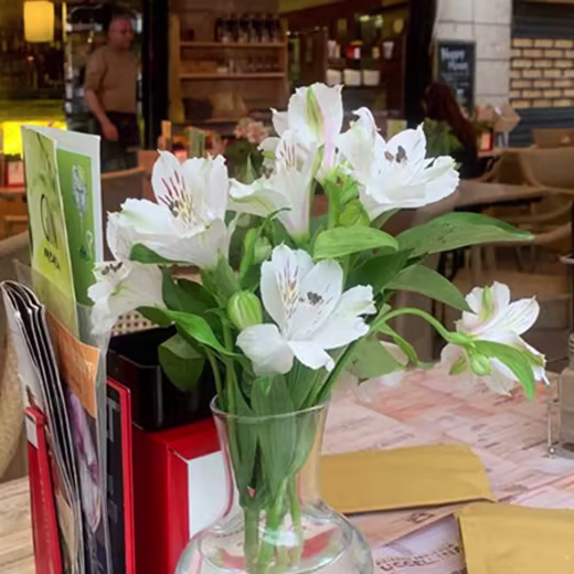 The 5 Best Bar Restaurants in Verona | TheFork