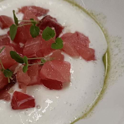 Menu 2026 - ColMare in Marina di Pisa | TheFork