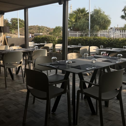 Menu 2026 - Albatross in San Leone | TheFork