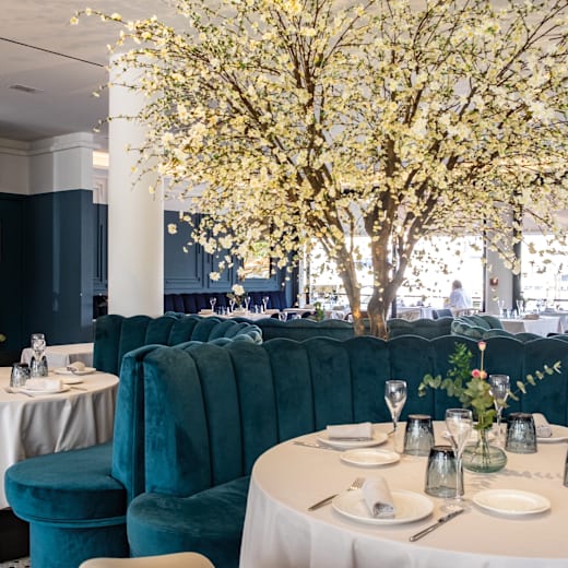 Restaurant Noray à Empuriabrava - Menu, avis, prix et réservation | TheFork