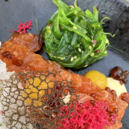 De 10 beste restaurants in Groede 2025 | TheFork