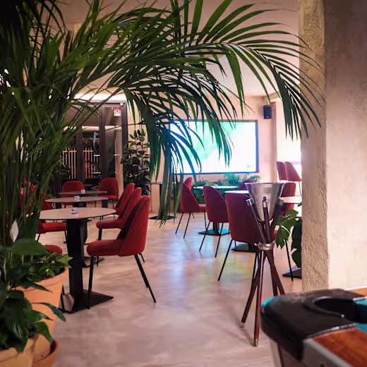 Miami Club in Alcudia - Restaurant Reviews, Menu and Prices | TheFork