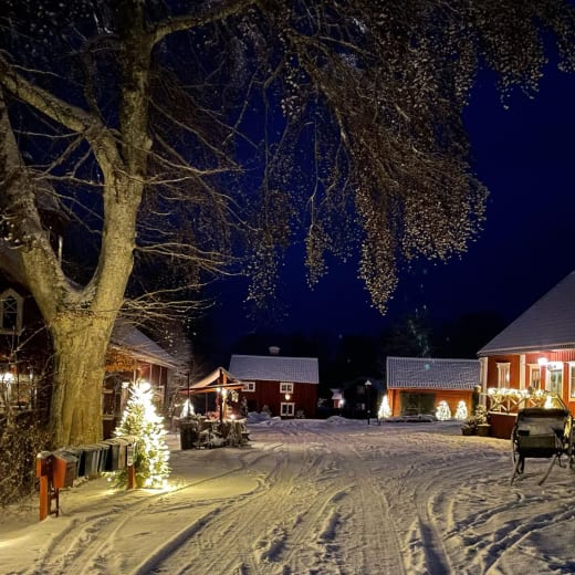 Menu 2026 - Wira Tingshuset - Julbord in Åkersberga | TheFork