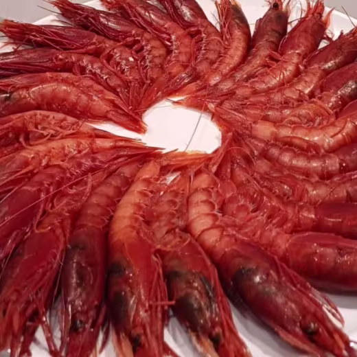The 5 Best Siciliano Restaurants in Castelvetrano | TheFork