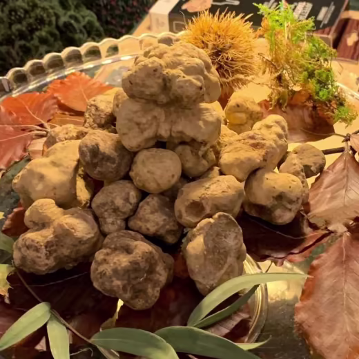 Tabui in Turin - Restaurant Reviews, Menu and Prices | TheFork