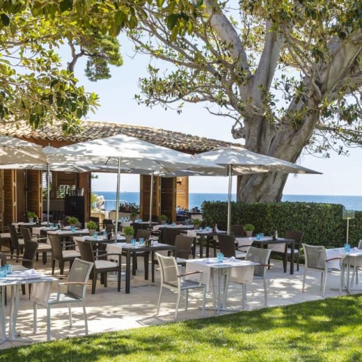 Restaurante Le Ficus en Èze - Menú 2026, opiniones, precios y reserva ...