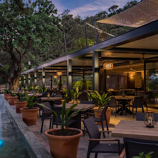 Coto in Marbella - Restaurant Reviews, Menu and Prices | TheFork