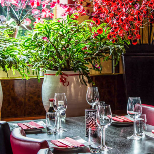 Menu 2026 - Tai Yu in Amsterdam | TheFork