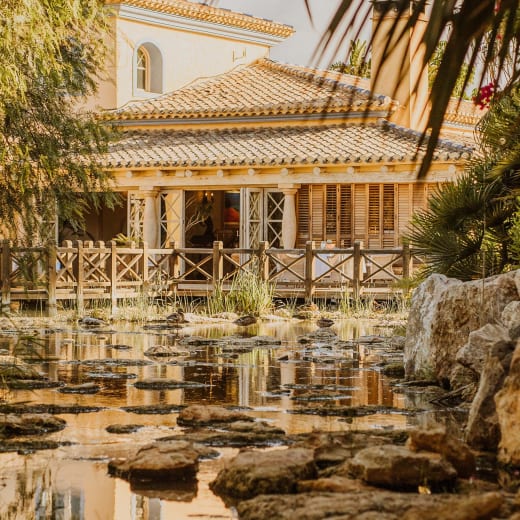 The Best All day dining Restaurants in Vera | TheFork