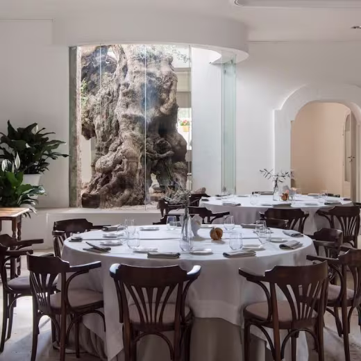 Mummulo in Monopoli - Restaurant Reviews, Menu and Prices | TheFork