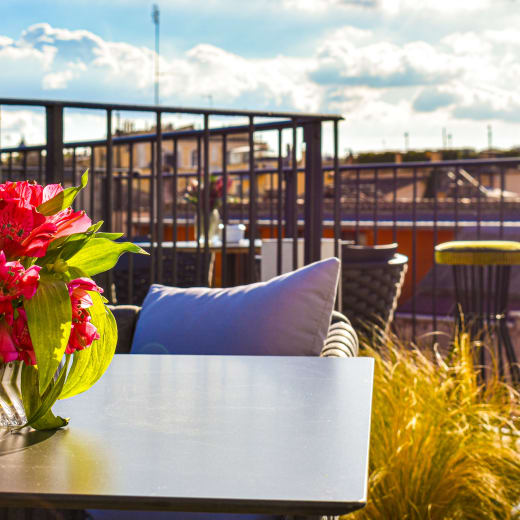 Terrazza Navona in Rome - Restaurant Reviews, Menu and Prices | TheFork