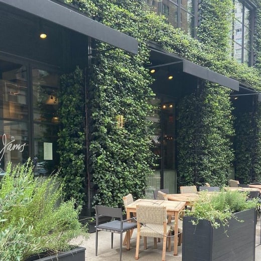 Menu 2026 - Jams in New York | TheFork