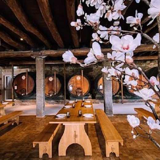 Pip em Vila Nova de Gaia - Preços, menu, morada, reserva e avaliações ...