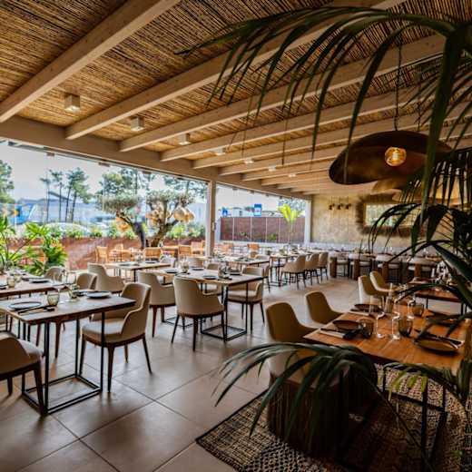 Menu 2026 - Coco Garden in Charneca de Caparica | TheFork