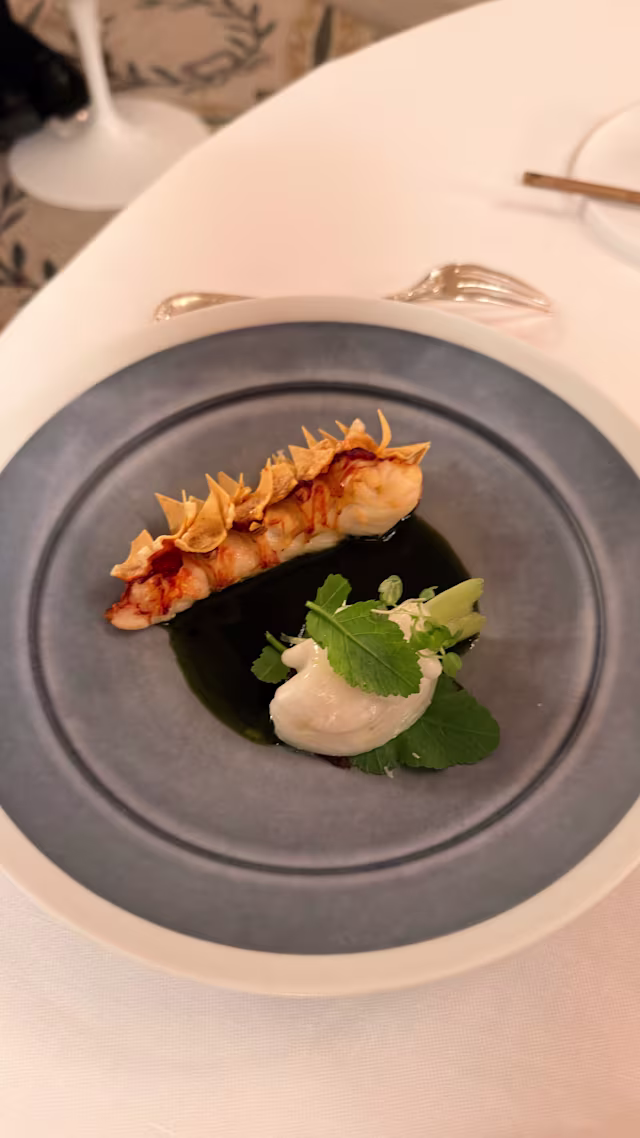 Menu 2026 - Restaurant le Meurice Alain Ducasse in Paris | TheFork
