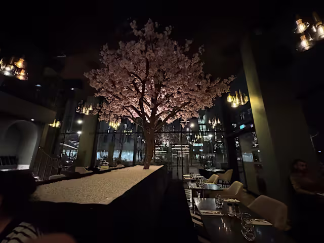 Restaurant The Tree à Paris - Menu, avis, prix et réservation | TheFork