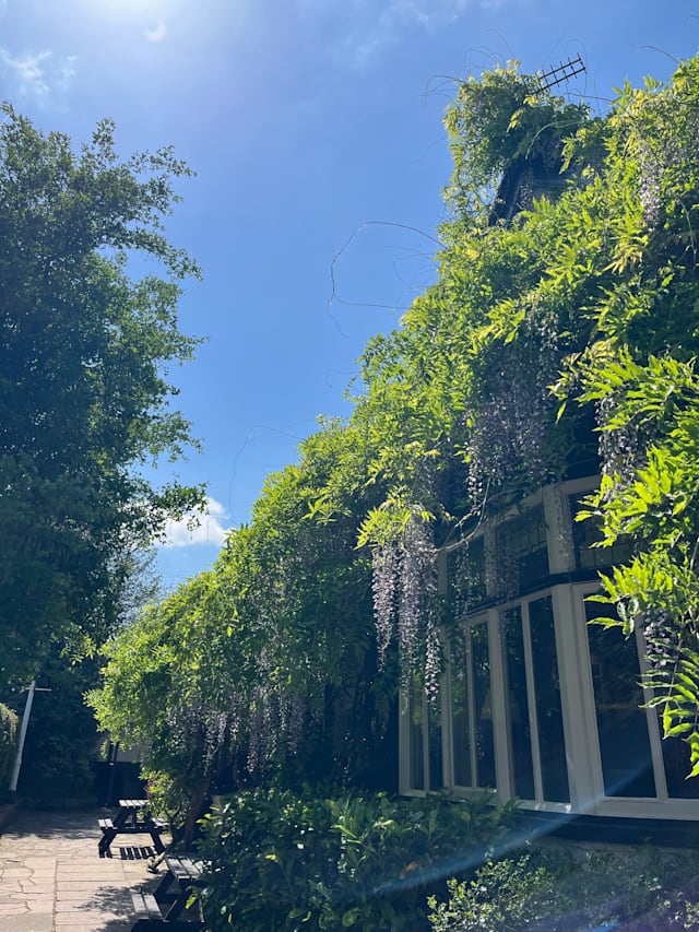 Menus 2025 - The Bells of Peover in Lower Peover | TheFork