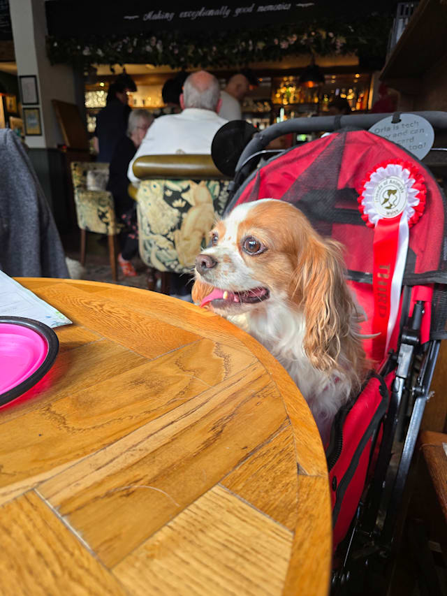 The Castell Mynach in Pontyclun - Restaurant Reviews, Menus, and Prices ...