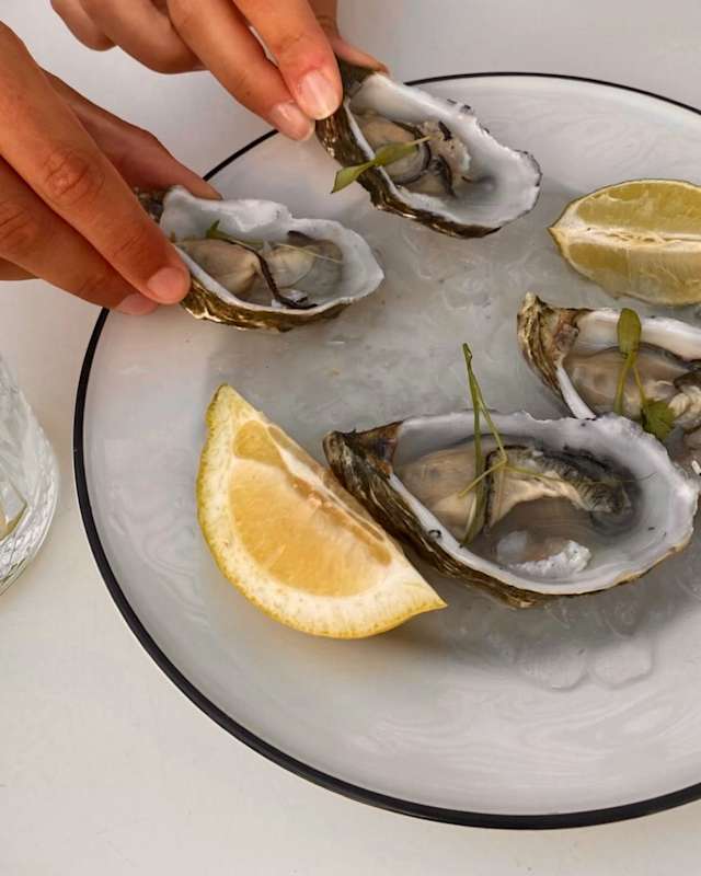 Carte et Menus 2026 - Hangar Meco à Sesimbra (Castelo) | TheFork