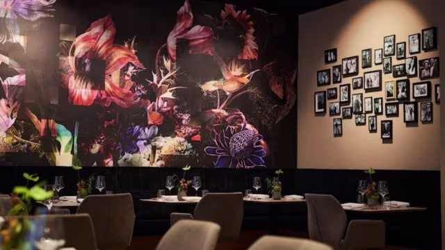 Die 10 besten Restaurants in Mannheim 2026 – TheFork