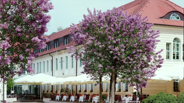The 10 Best Restaurants in Dresden 2026 | TheFork