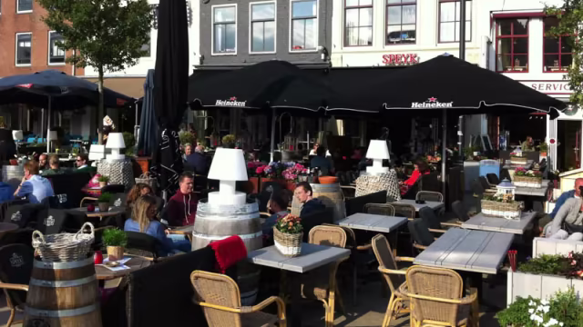 De 10 beste restaurants in Groede 2026 | TheFork