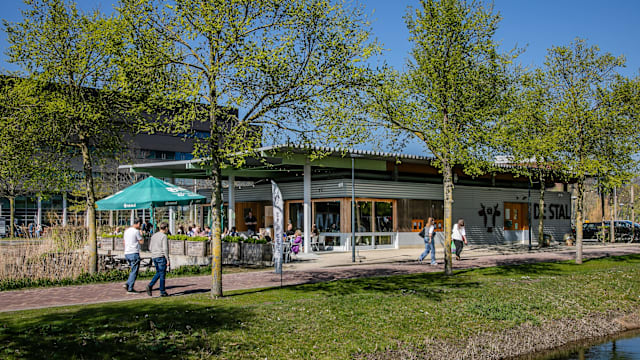 The Best Ethnic Restaurants in Leiden Centrum Noord, Leiden | TheFork