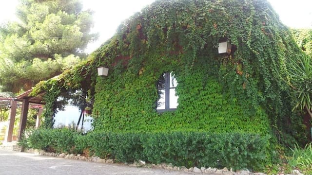 The Best Cod Restaurants in Monreale | TheFork