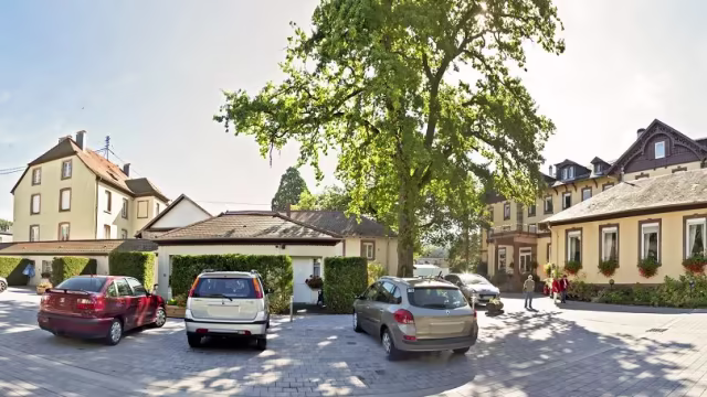 Les 10 meilleurs restaurants à Munster 2026 | TheFork