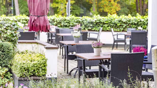 De 10 beste restaurants in Ermelo 2026 | TheFork