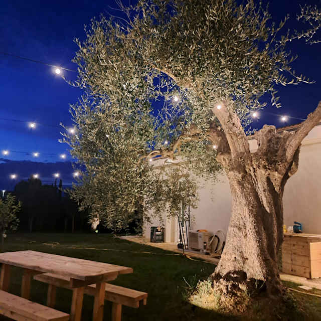 The 10 Best Meat Cuisine Restaurants in Castiglione Della Pescaia | TheFork