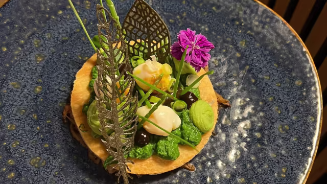 De 10 beste restaurants in Groede 2025 | TheFork