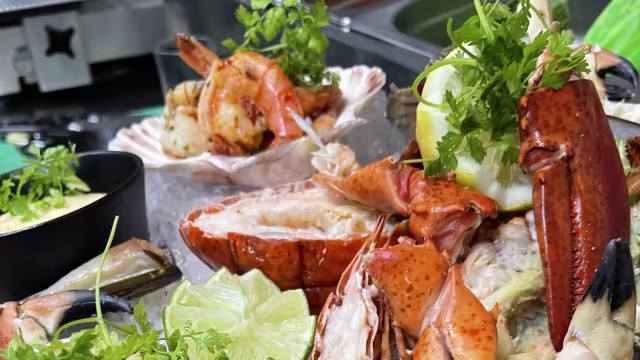 De 10 beste restaurants in Groede 2025 | TheFork