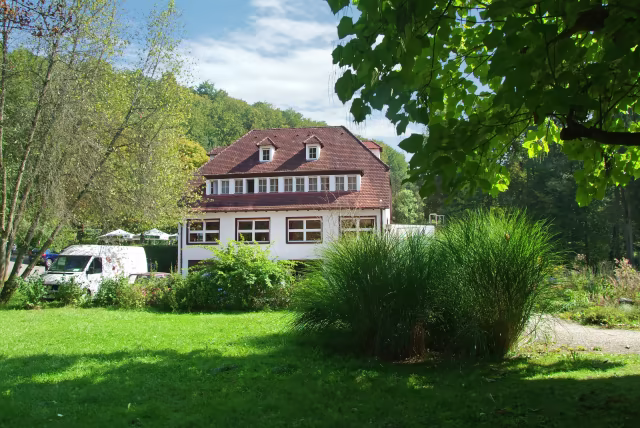 MICHELIN Star Restaurants from the MICHELIN Guide in Stuttgart | TheFork