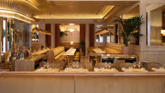 Les 10 meilleurs restaurants Immersifs à Paris | TheFork