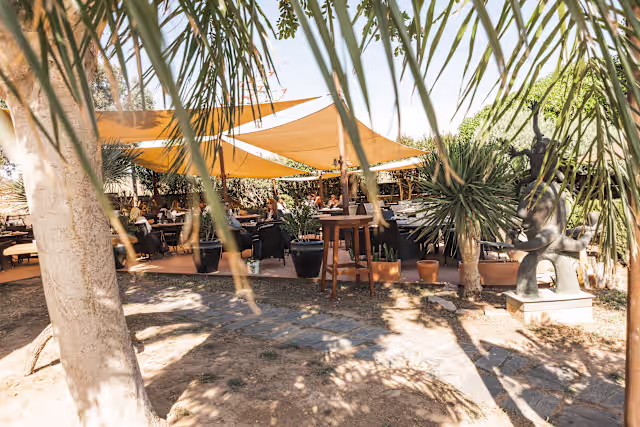 Los 5 mejores restaurantes en Playa El Saler, Valencia | TheFork