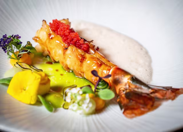 Menu 2026 - MoTaKi in Frankfurt | TheFork